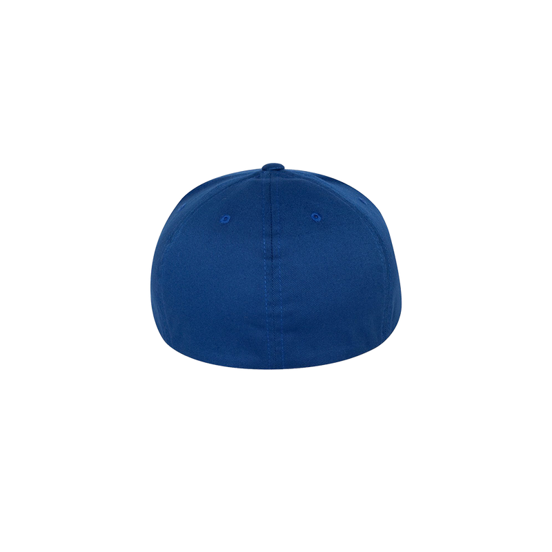 Junior Varsity Fitted Cap - Beastie Boys Official Store